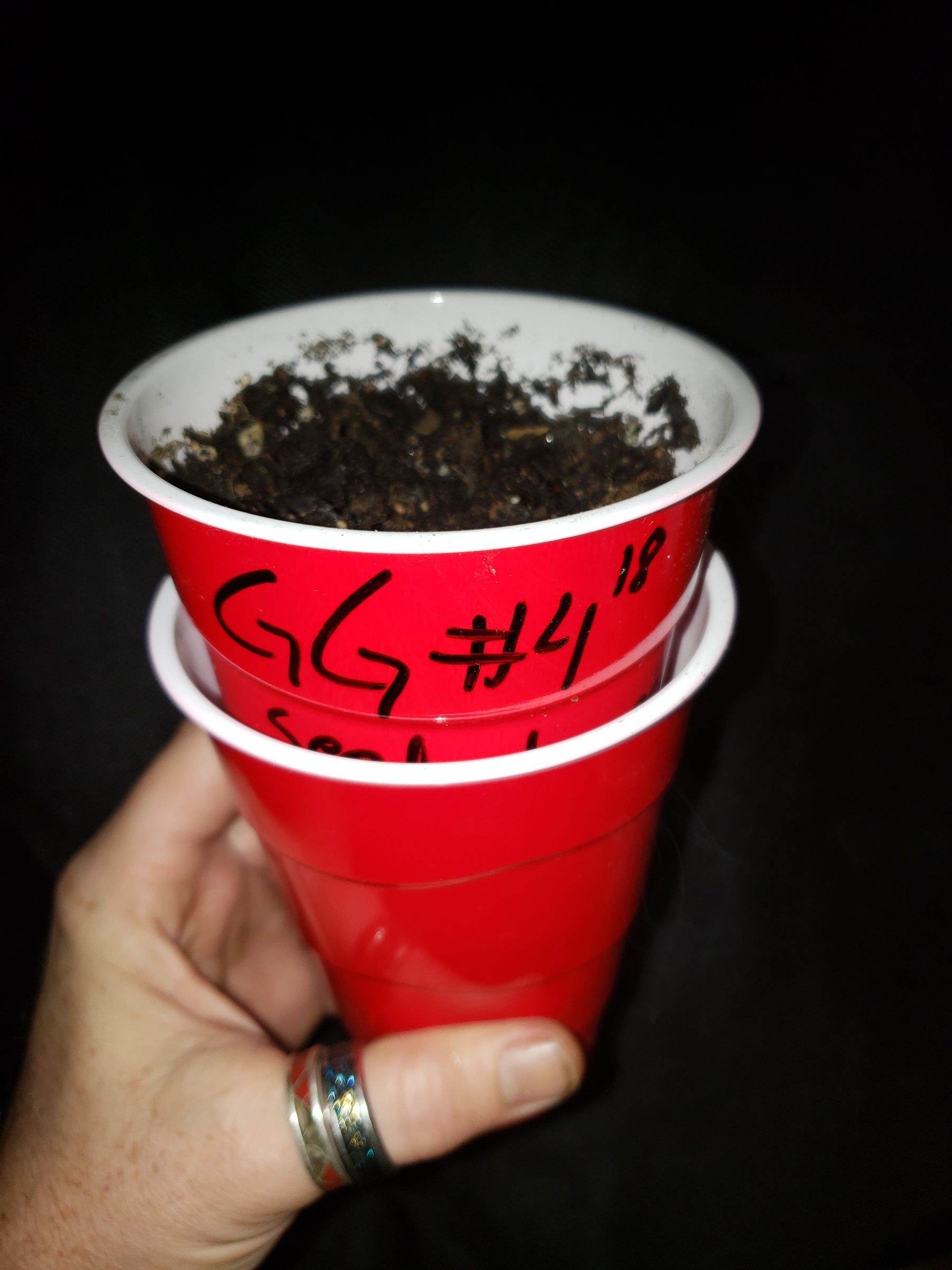 Transform Ordinary Solo Cups Into a Hybrid Hydroponic/Soil Plant ...