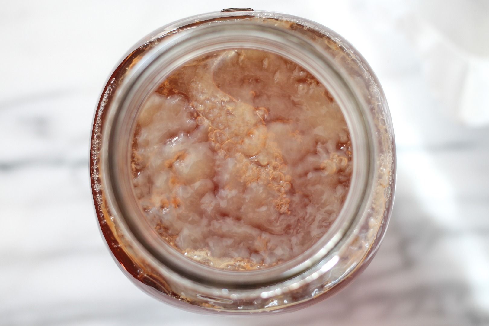 How to Grow a Kombucha Scoby (mother) : 6 Steps (with Pictures ...