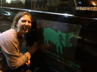 Car Decal Sticker - Made With a Vinyl Cutter : 7 Steps (with Pictures ...