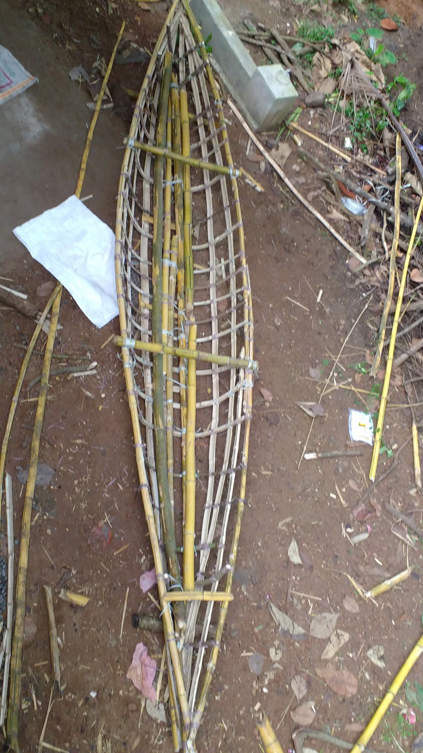 Bamboo Canoe : 6 Steps (with Pictures) - Instructables