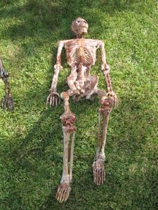 How to Corpse a Skeleton (The Quick and Dirty Way That DOES NOT Involve ...
