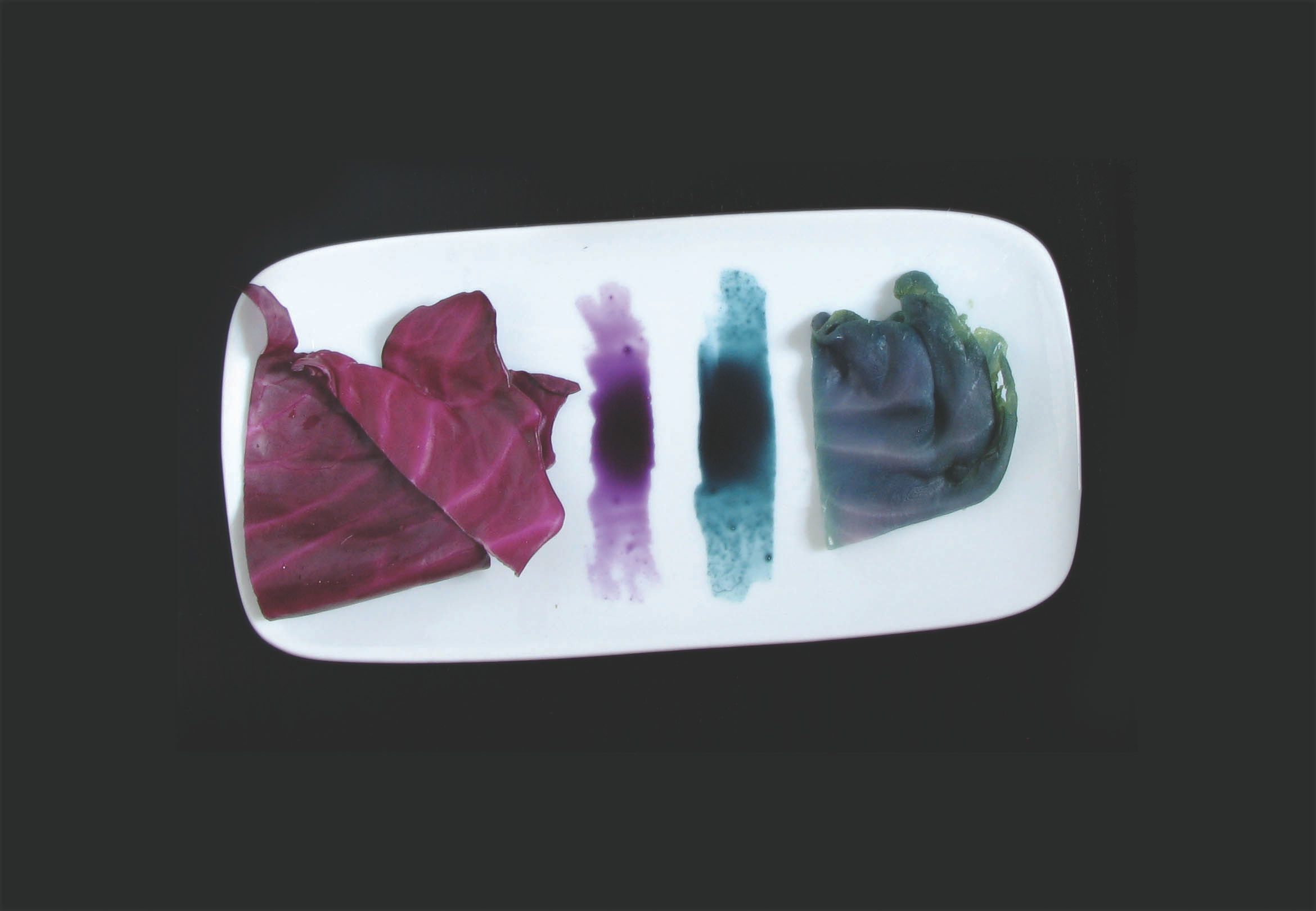 Purple Foods! Colorful Cooking Without Artificial Dyes. (with Pictures ...