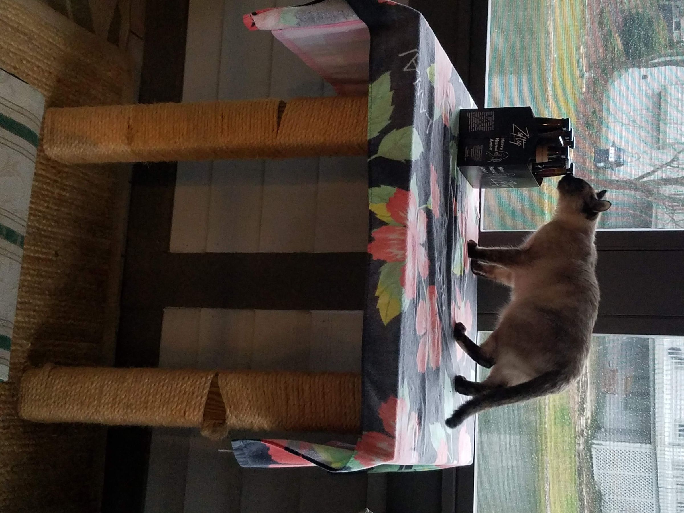 Porch Plexiglass Storm Windows : 5 Steps (with Pictures) - Instructables