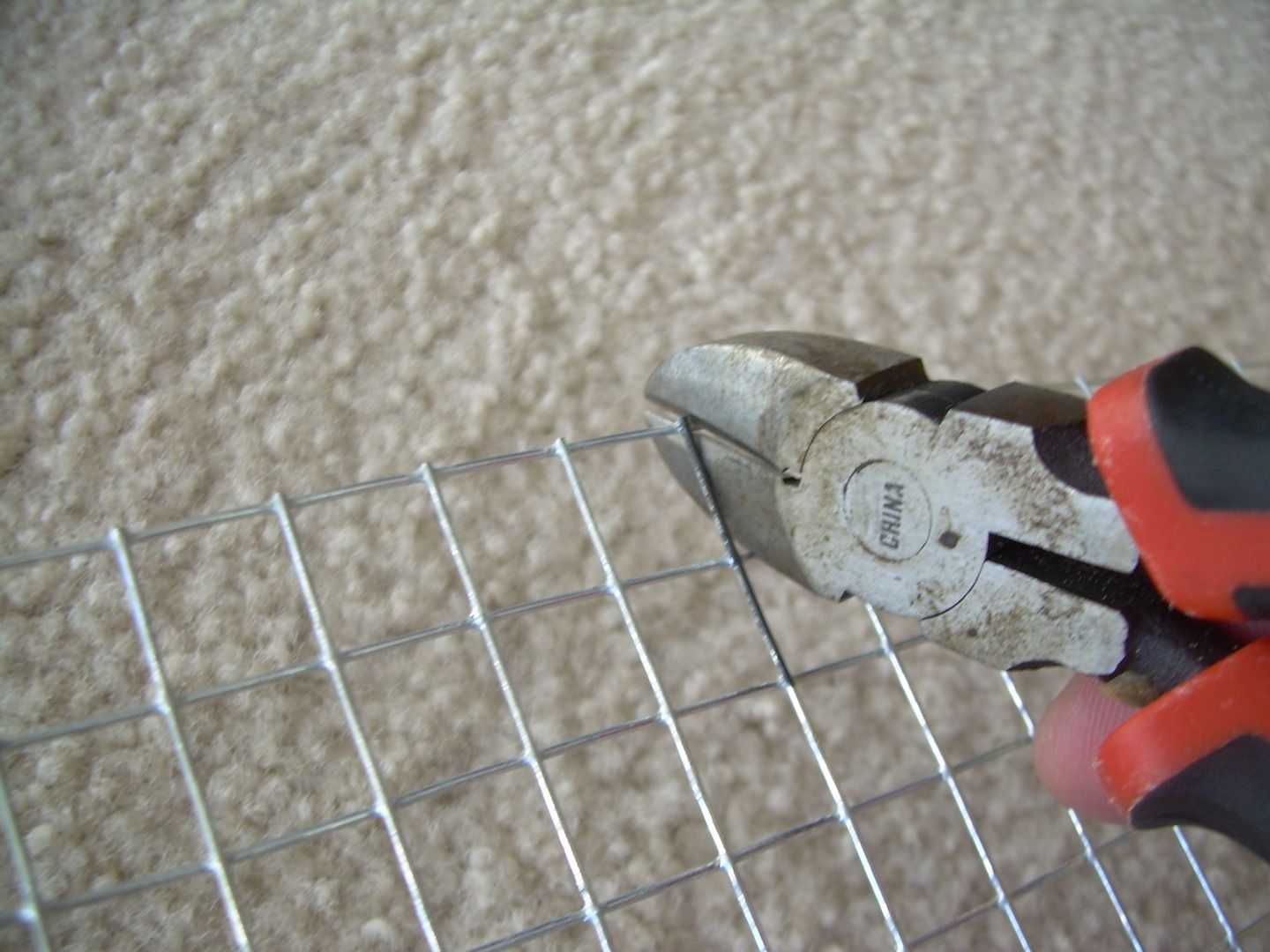 5 Gallon Bucket Fish Trap : 4 Steps (with Pictures) - Instructables