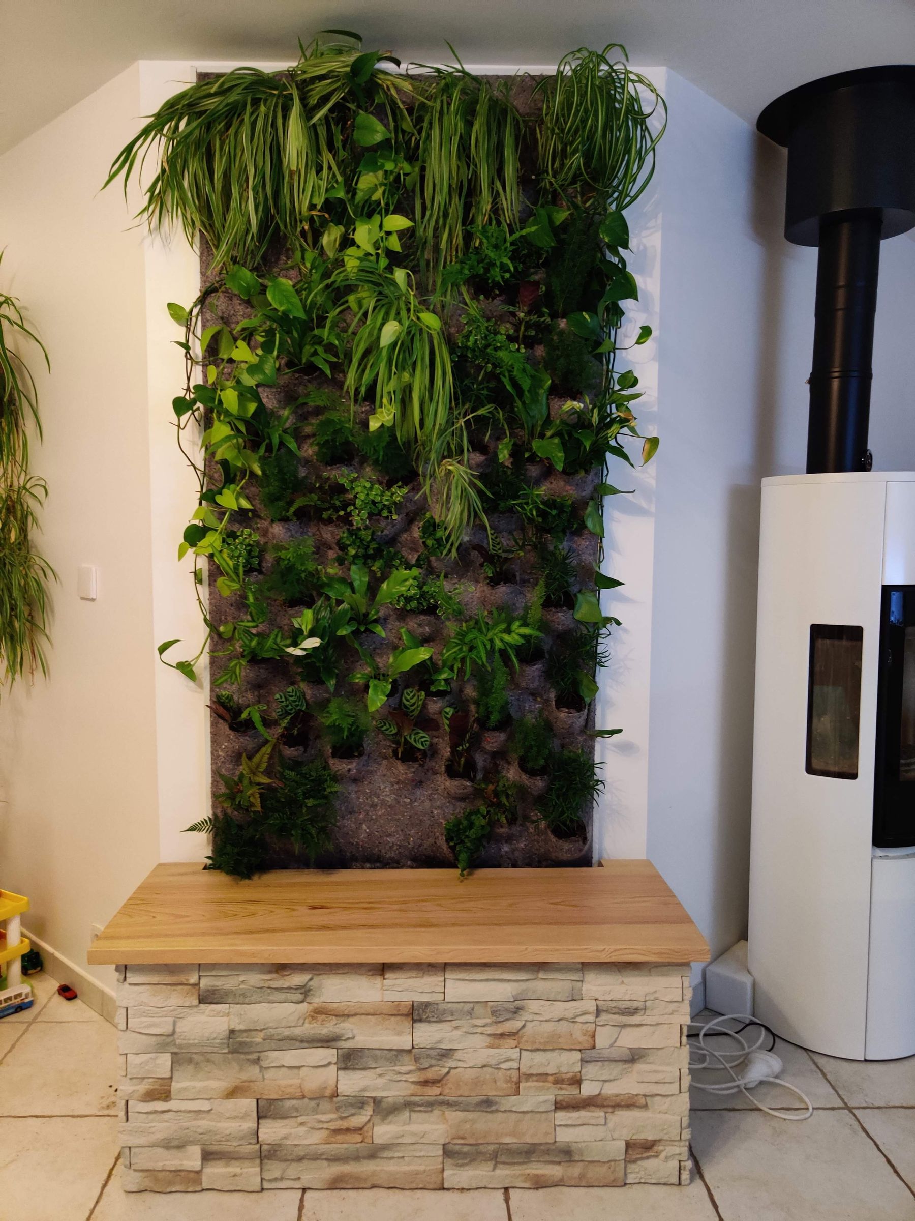 Indoor Green Wall : 5 Steps (with Pictures) - Instructables