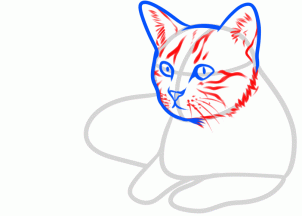 How to Draw a Cat : 9 Steps - Instructables