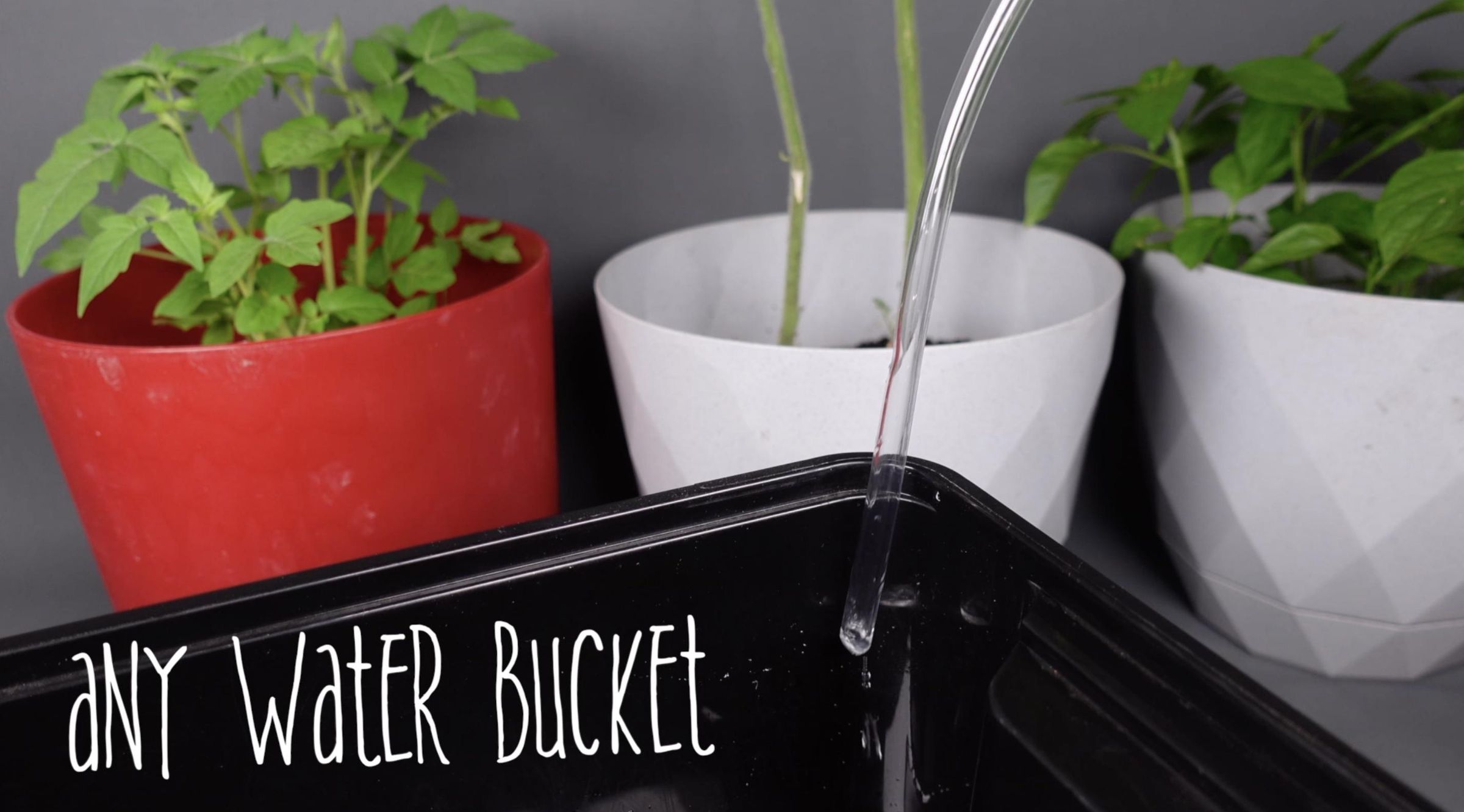 DIY Automatic Plant Watering System : 9 Steps (with Pictures ...