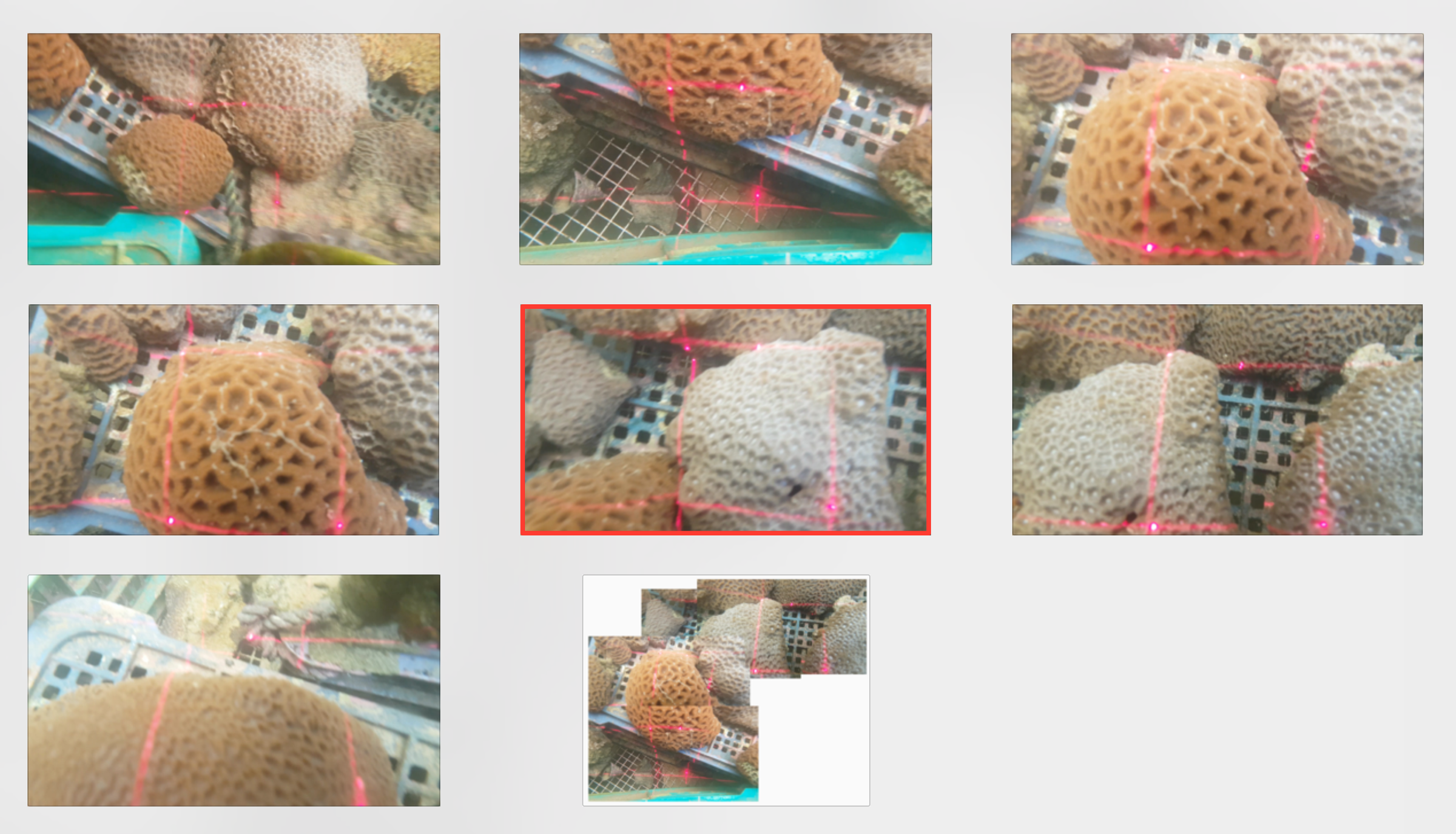 Laser Quadrat for Coral Reef Mapping : 12 Steps (with Pictures ...