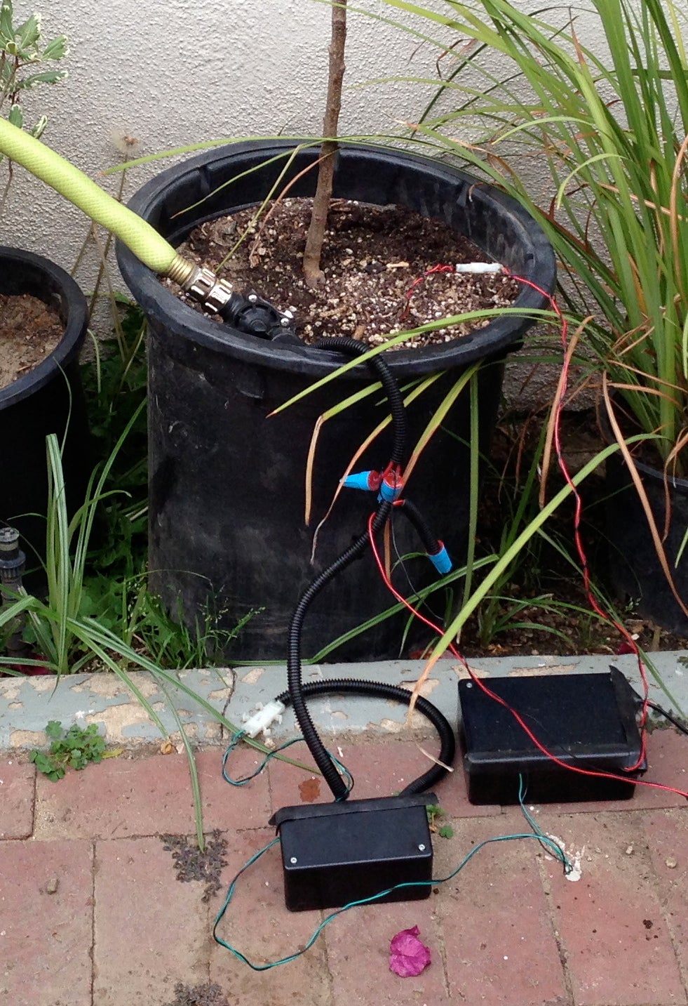 Raspberry Pi Soil Moisture Sensor : 8 Steps (with Pictures) - Instructables
