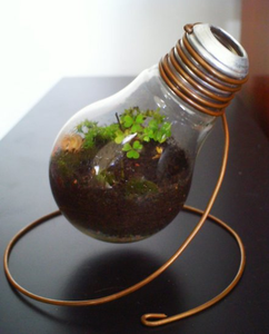 How to Make Homemade Light Bulb Jar : 4 Steps - Instructables
