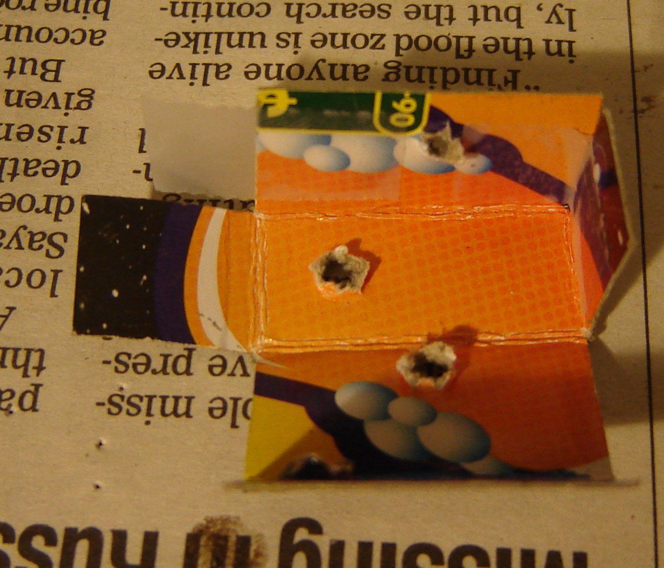 Cardboard Van Leeuwenhoek Microscope : 9 Steps (with Pictures ...