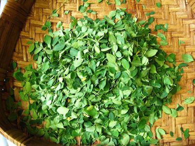 How to Cook Moringa Leaves : 7 Steps (with Pictures) - Instructables