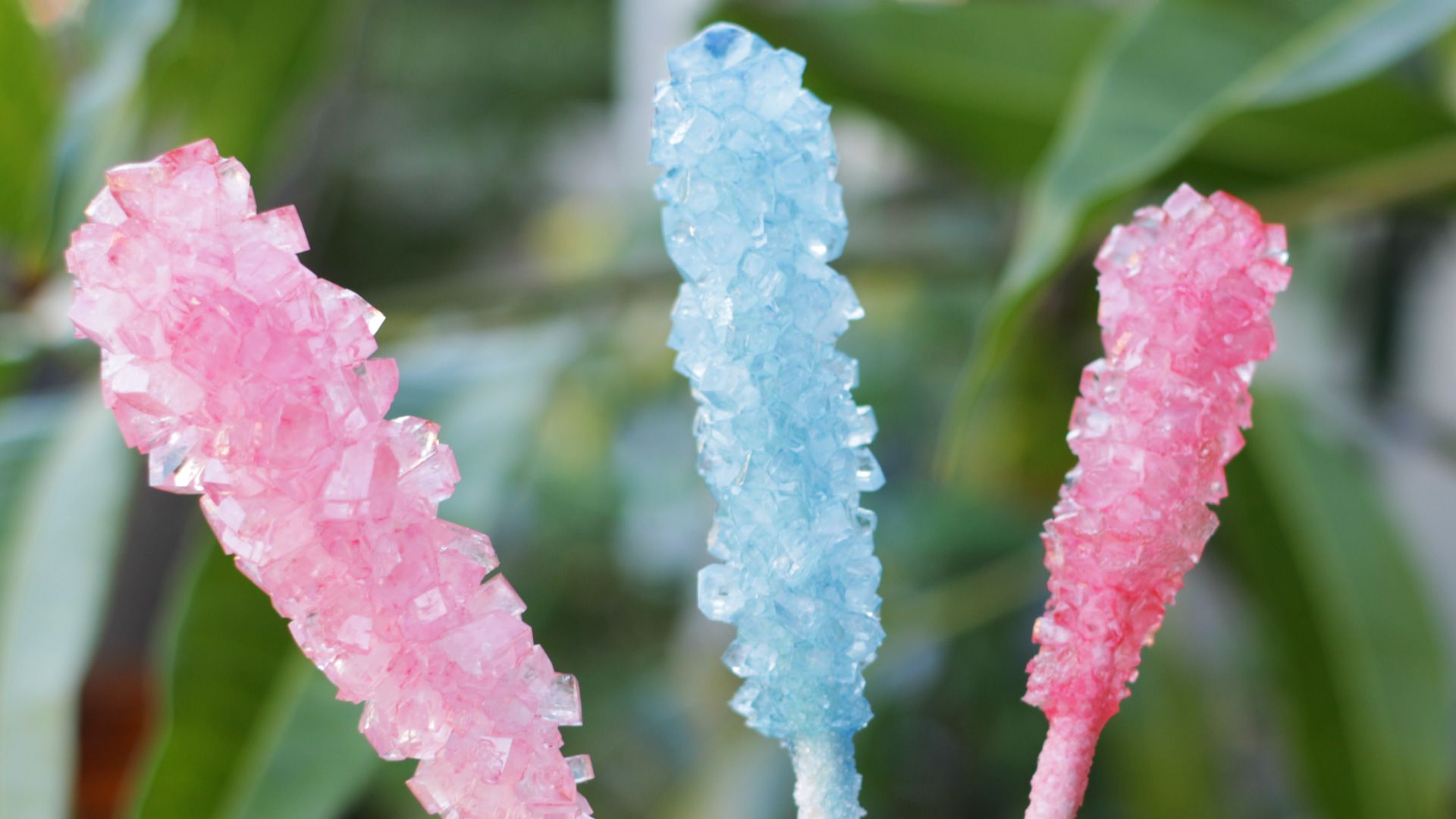 Easy Rock Candy : 7 Steps (with Pictures) - Instructables