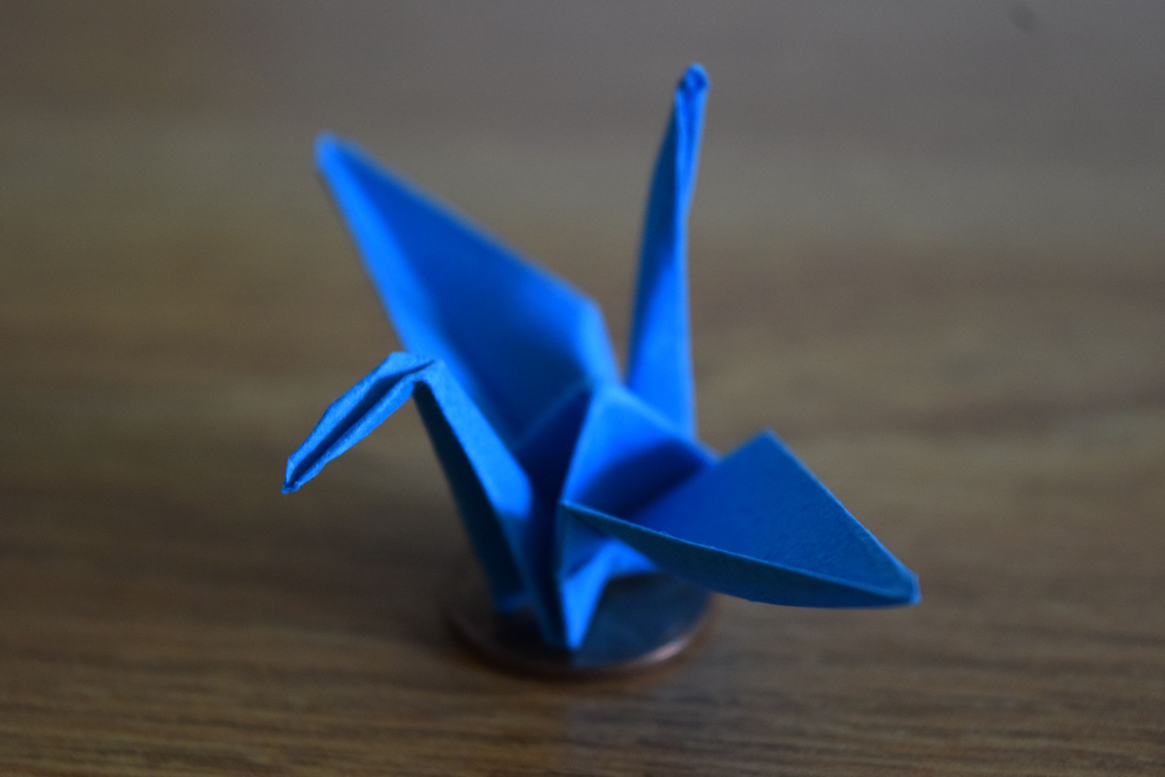 How to Fold Origami Cranes : 5 Steps (with Pictures) - Instructables