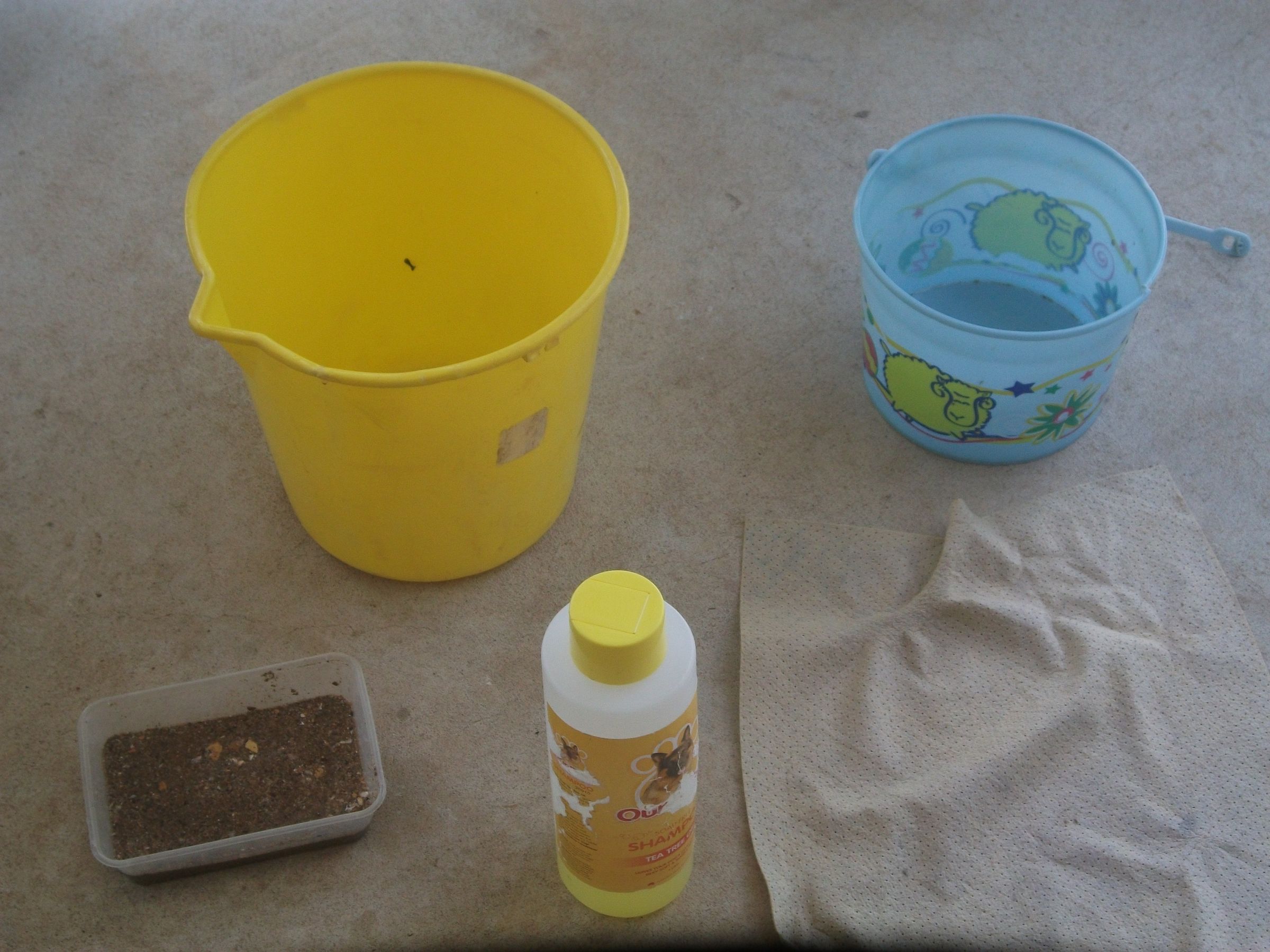 How to Efficiently Extract Worms From the Dirt : 7 Steps - Instructables