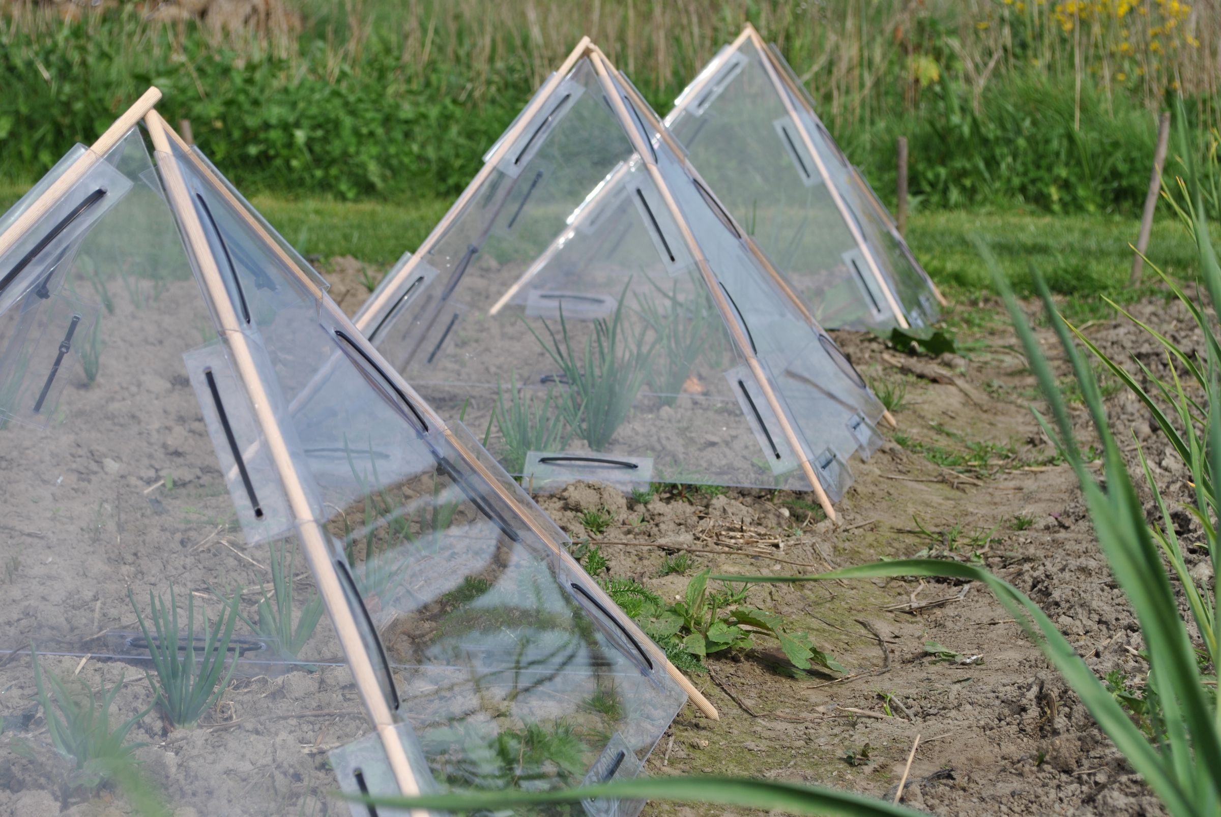 Casa Verde: a Modular Greenhouse : 8 Steps (with Pictures) - Instructables