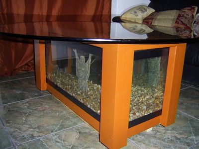 Table Top Aquarium : 8 Steps (with Pictures) - Instructables