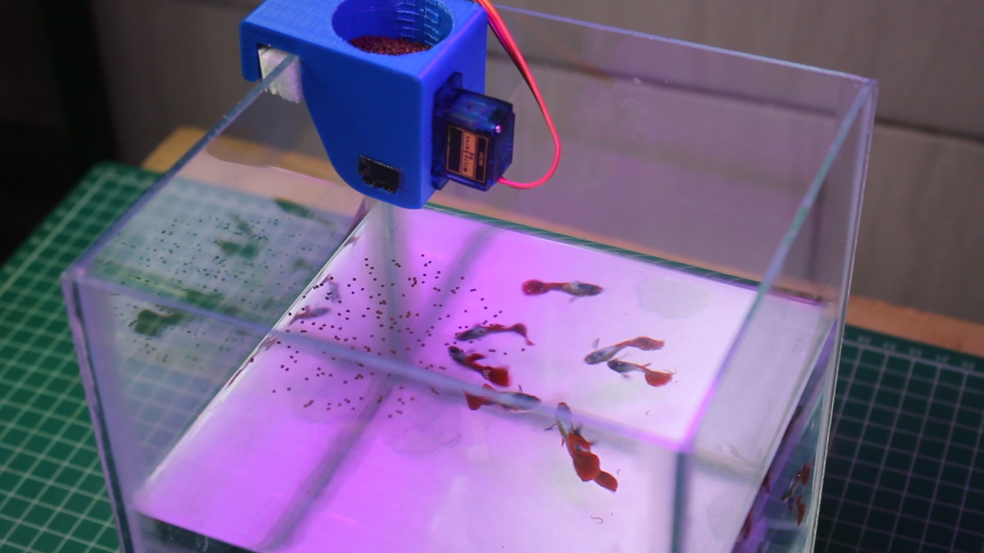 Automatic Fish Feeder Using Arduino Nano : 8 Steps (with Pictures ...