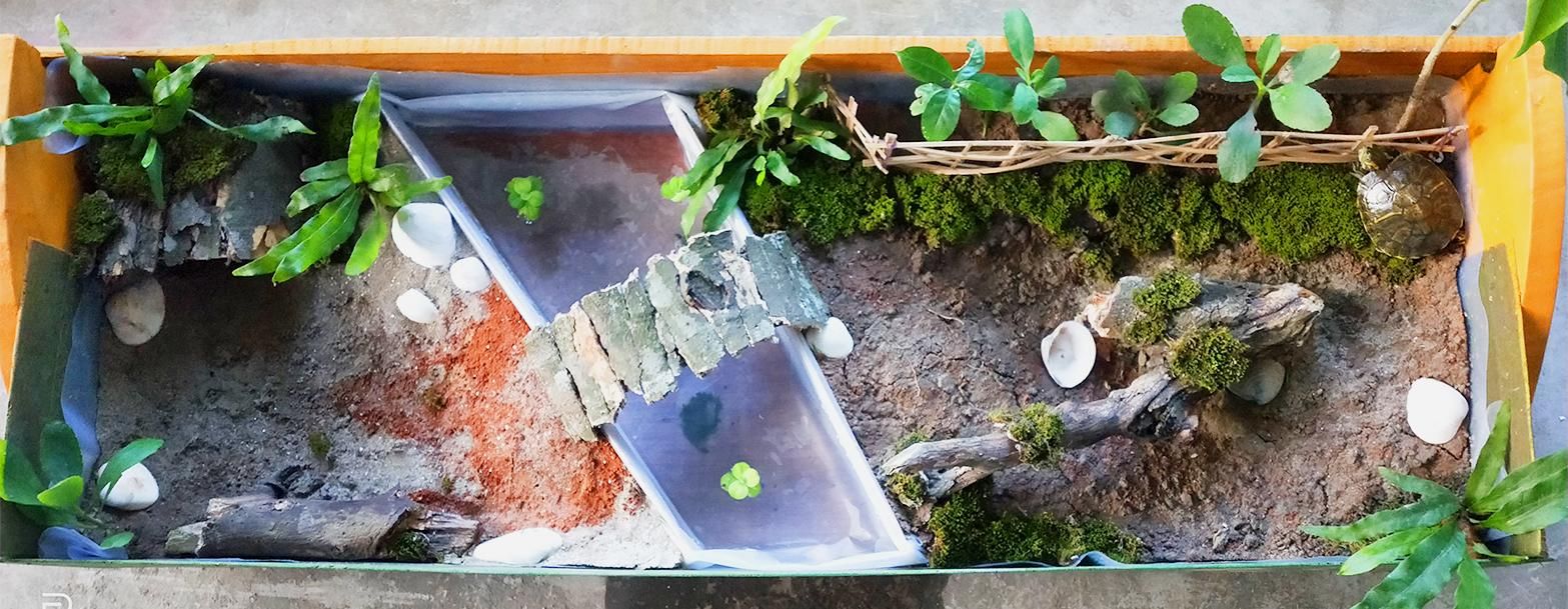 Turtle Habitat for Baby Turtles | Homemade Turtle Garden : 18 Steps ...