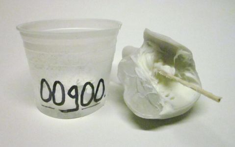 Instamorph and Oogoo, Together at Last. : 6 Steps (with Pictures ...