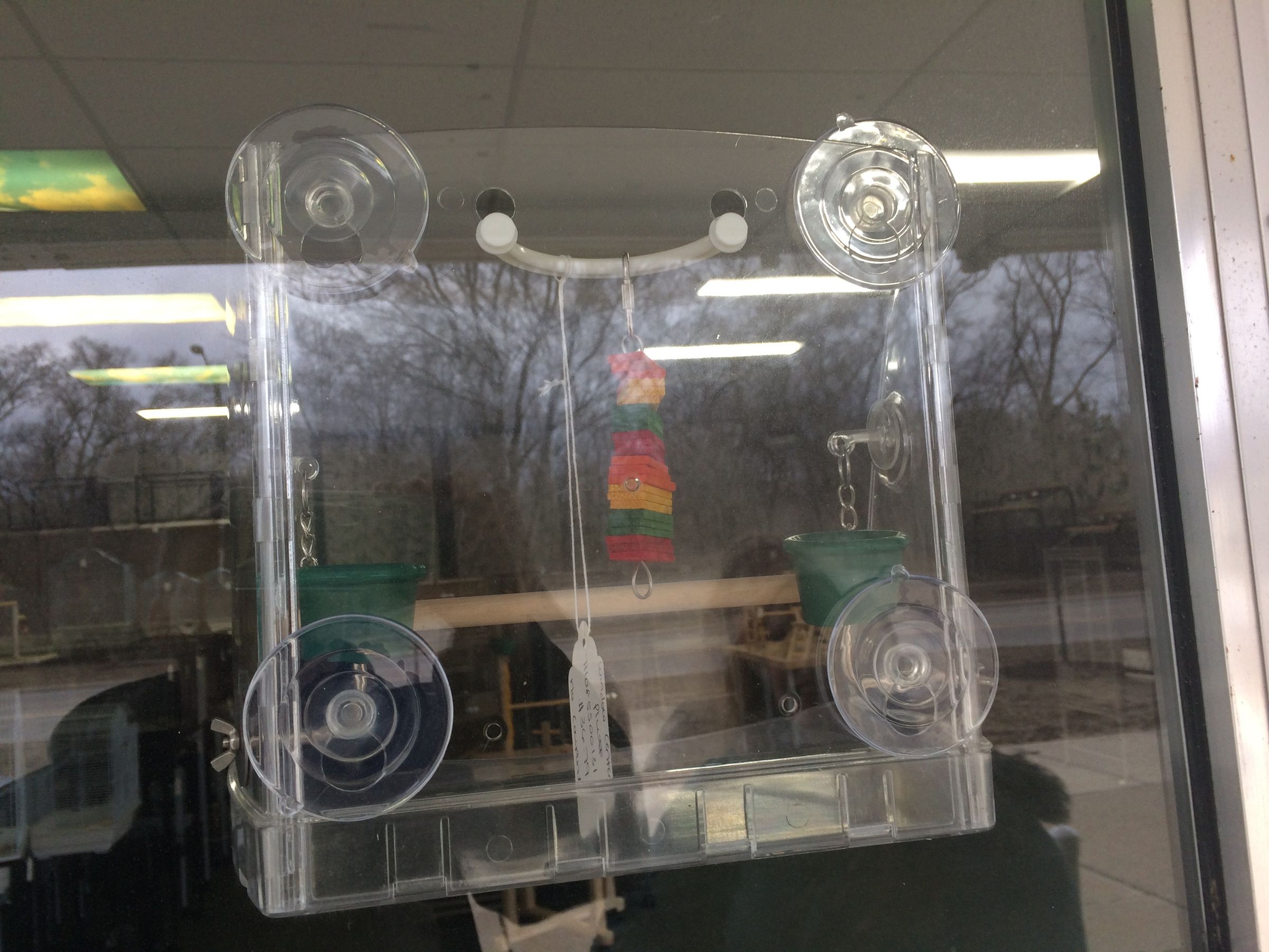 Bird Window Play Center Perch Modification for Larger Bird - Instructables