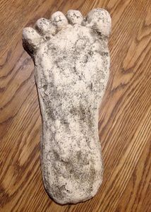 Bigfoot Footprint Cast : 7 Steps (with Pictures) - Instructables