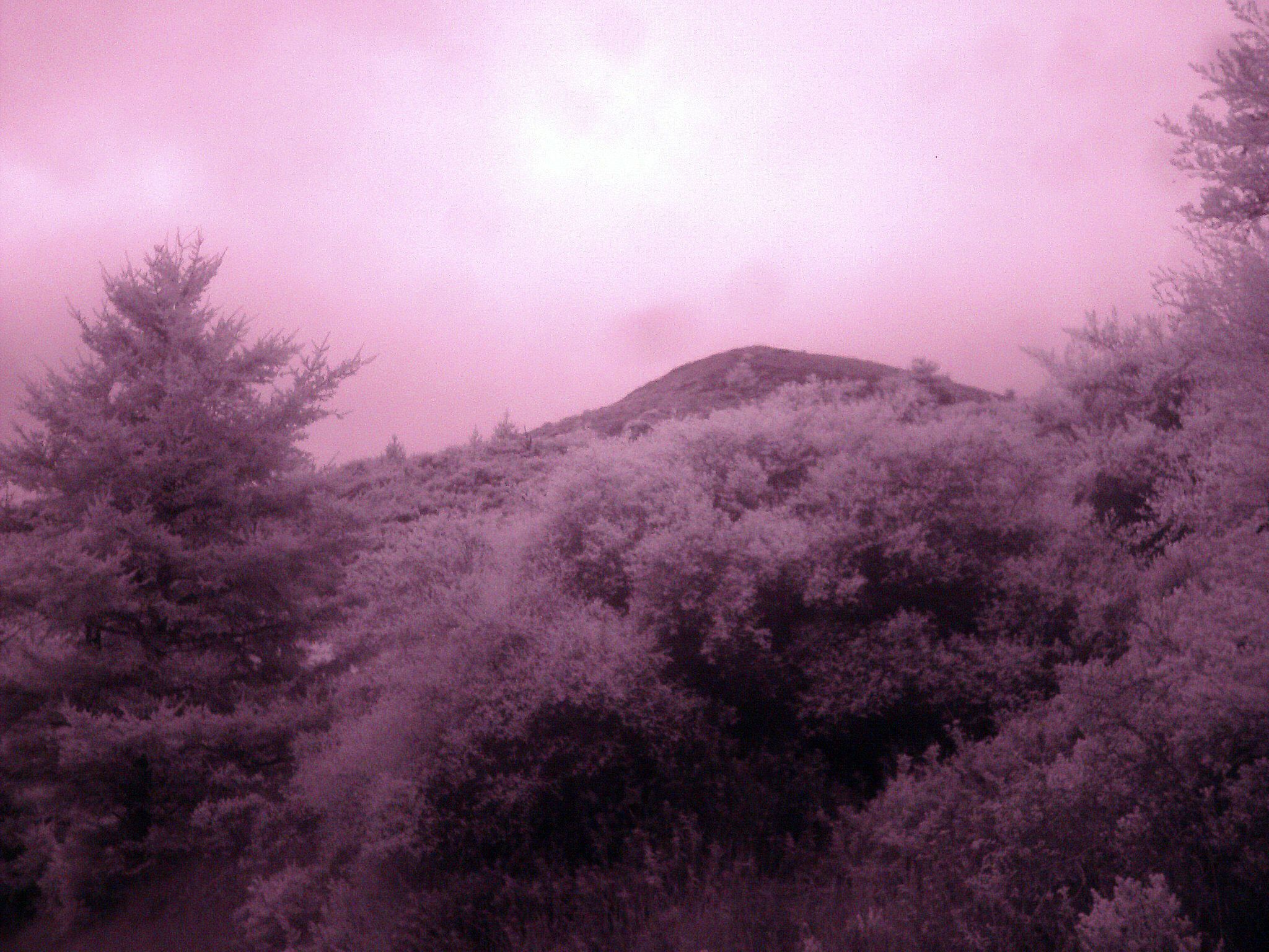 Infrared Digital Camera - the Real Way : 8 Steps (with Pictures ...