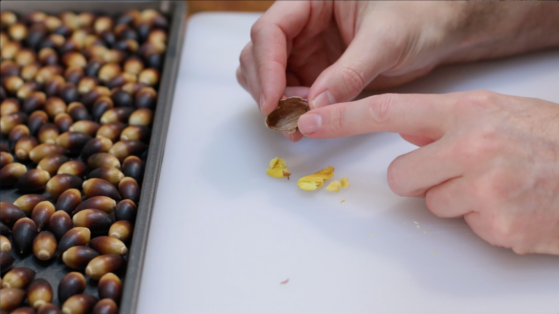 How to Process Acorns and Make Acorn Flour : 8 Steps (with Pictures ...