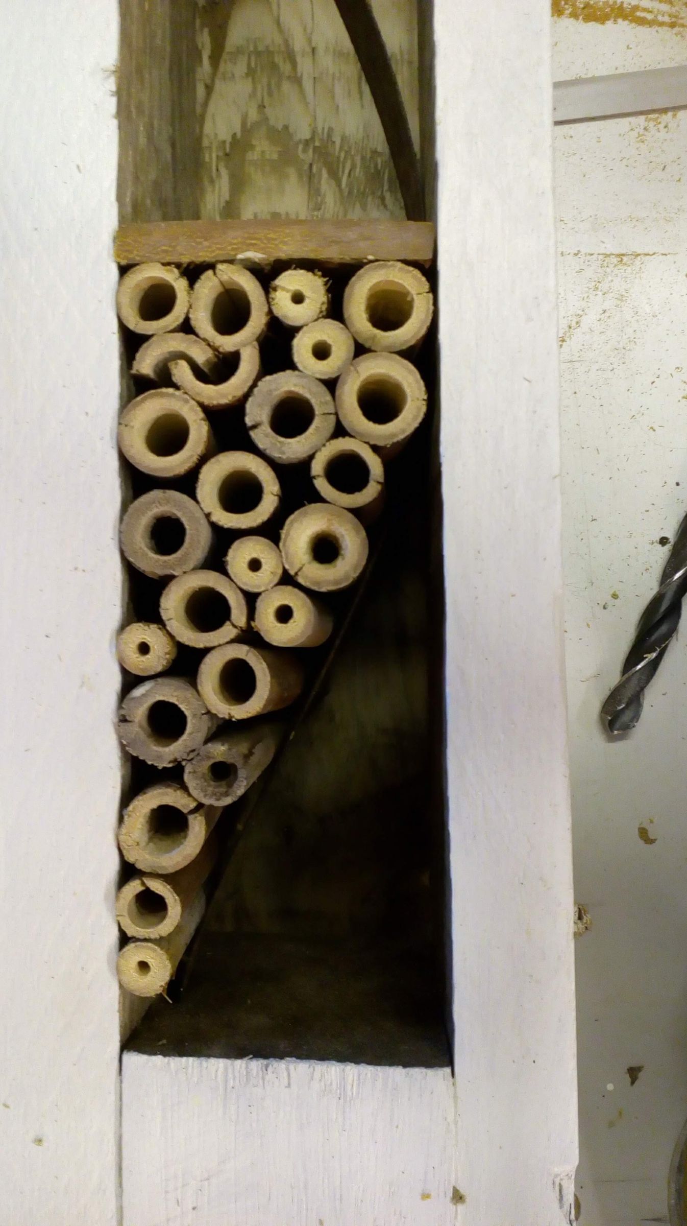 Bee & Bug Tower Hotel : 7 Steps (with Pictures) - Instructables