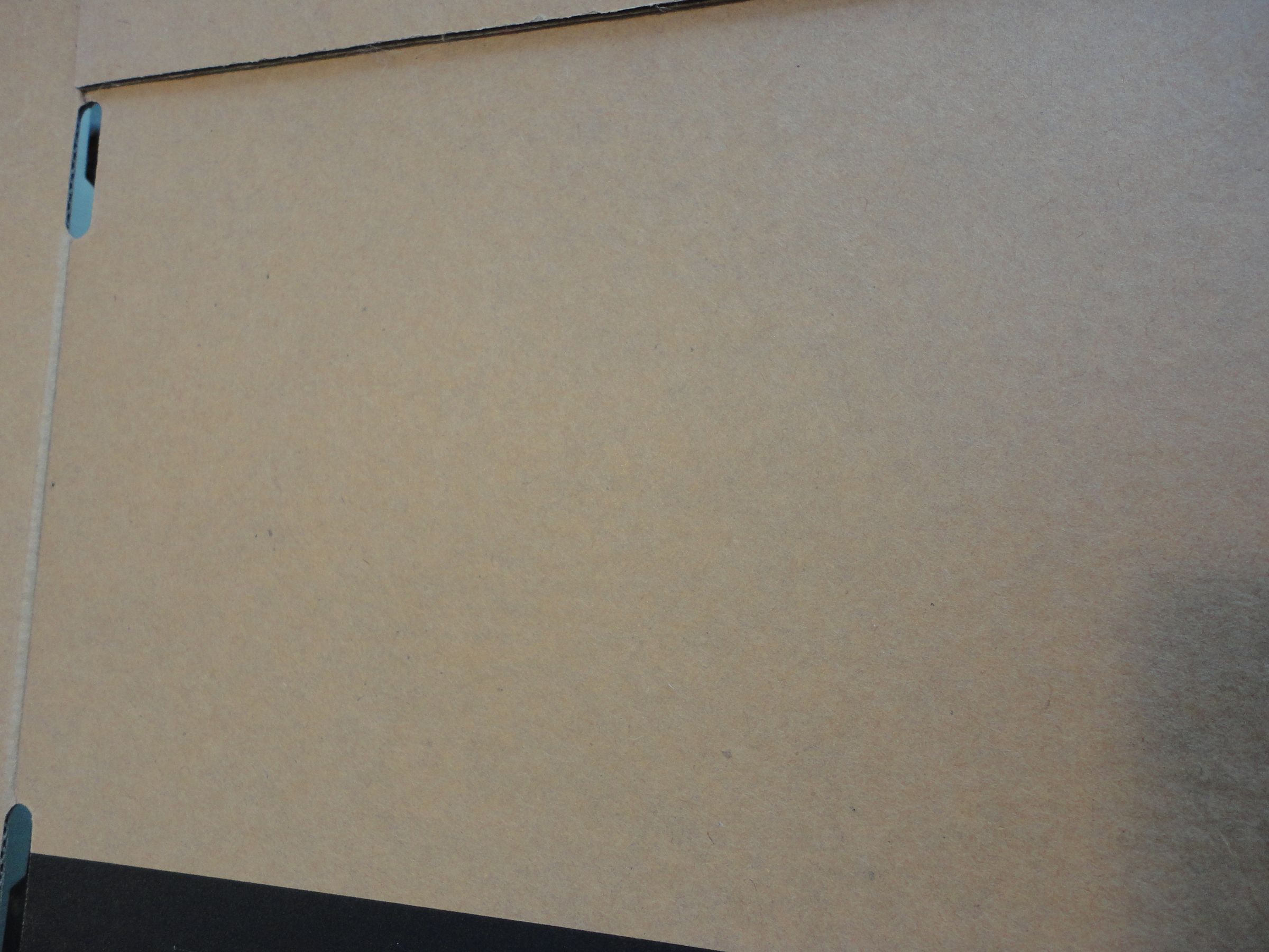 "Crush" Turtle Cardboard Costume! : 12 Steps - Instructables