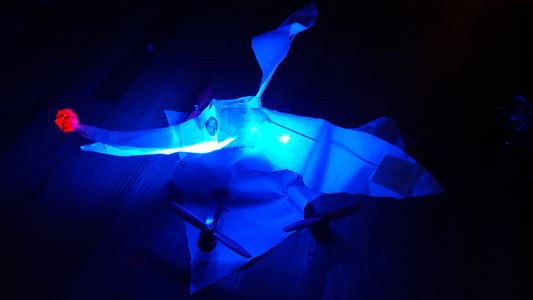 Flying Zero From Nightmare Before Christmas : 11 Steps (with Pictures ...