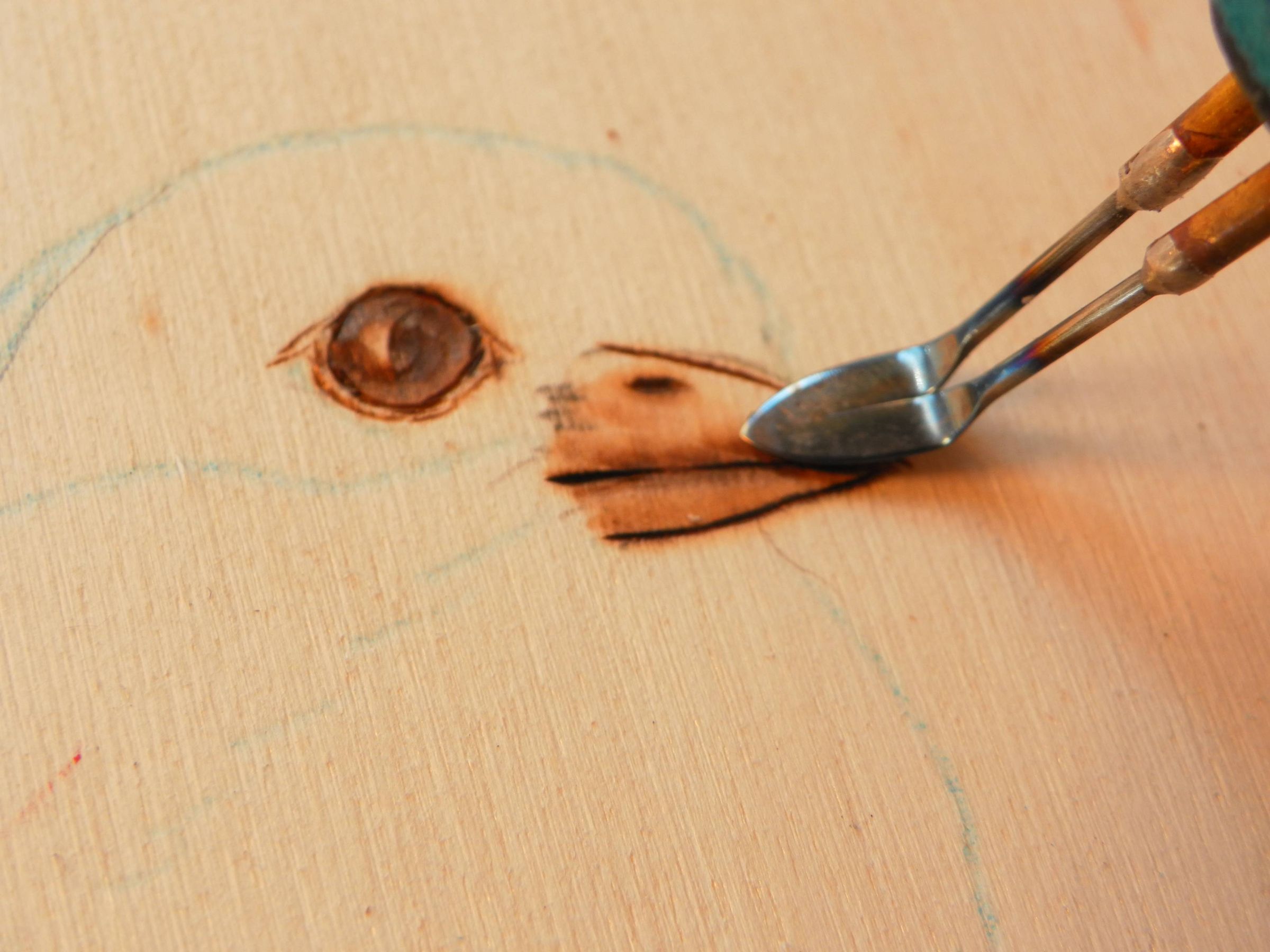 Pyrography: Step by Step Burn a Chickadee : 10 Steps (with Pictures ...