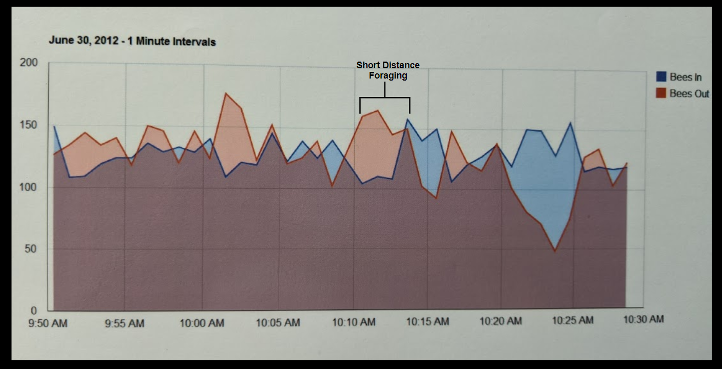 Easy Bee Counter : 10 Steps (with Pictures) - Instructables