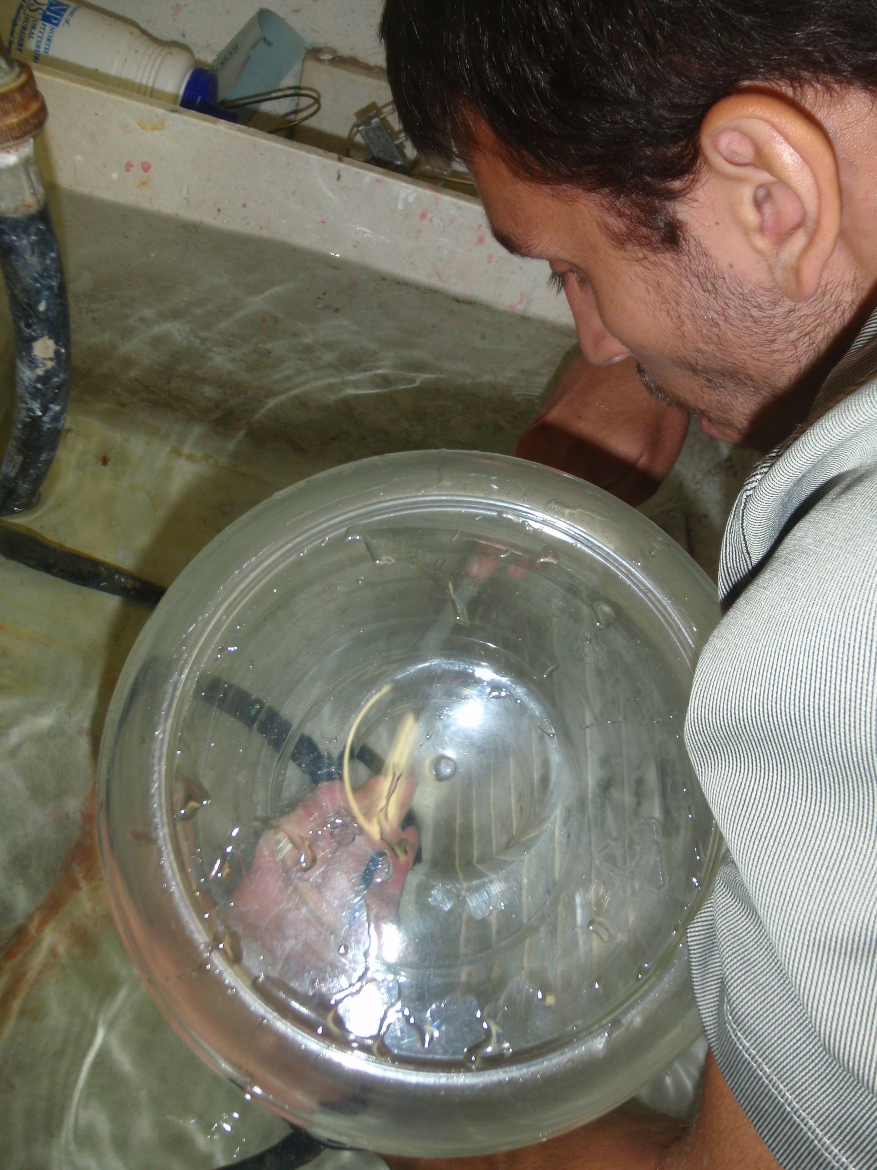 Measure Body Fat % Via Underwater Weighing : 9 Steps - Instructables