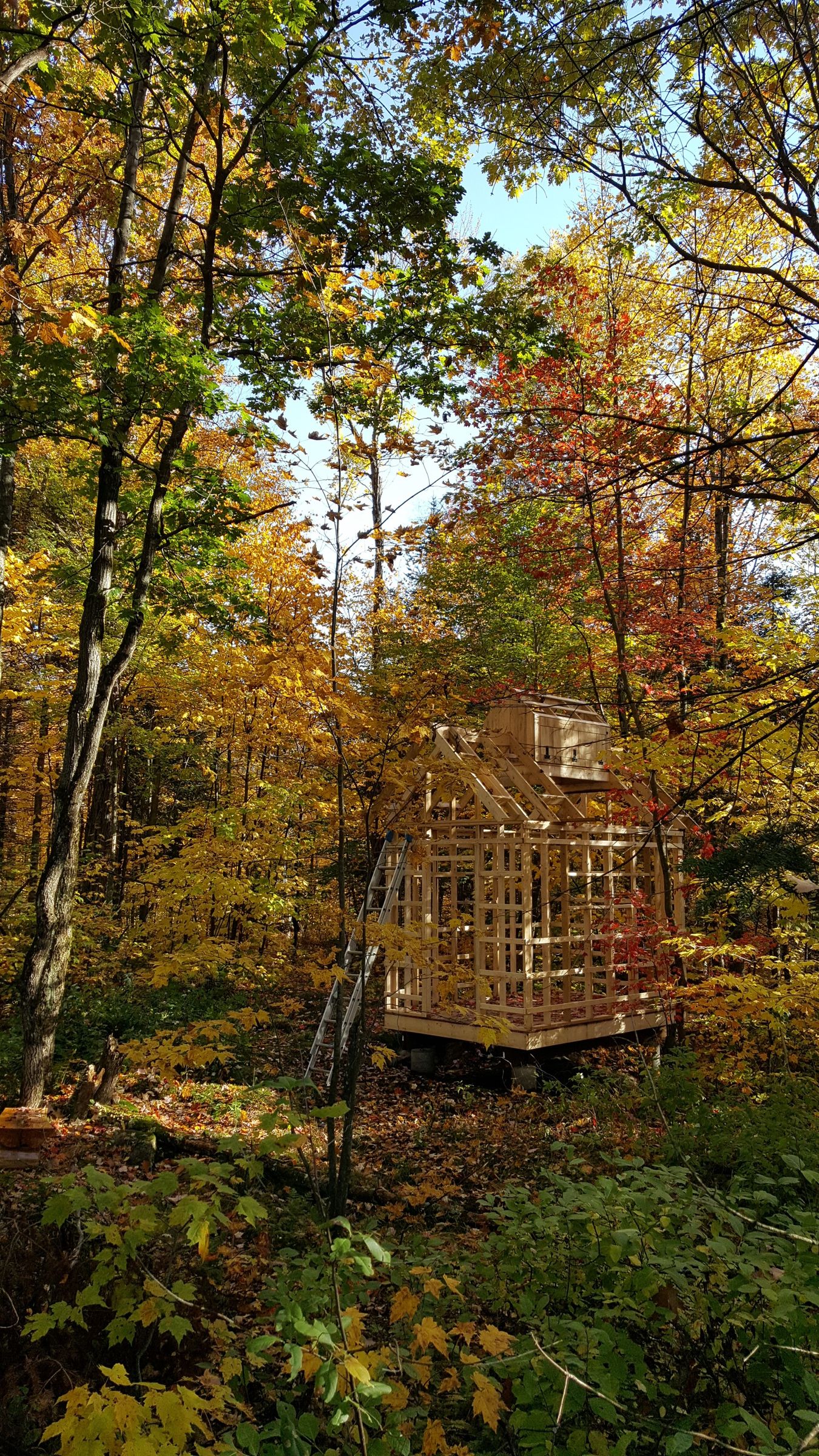 Sugar Shack : 12 Steps (with Pictures) - Instructables