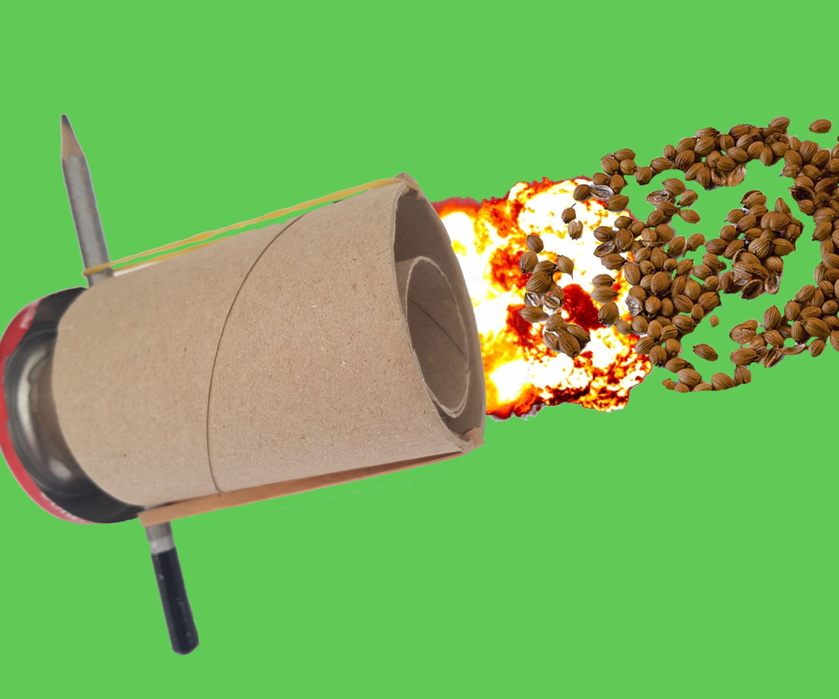 Seed Launcher : 9 Steps - Instructables