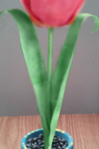 Make Realistic Paper Tulips : 5 Steps (with Pictures) - Instructables