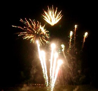 How to Plan and Launch a Fireworks Show : 12 Steps (with Pictures ...