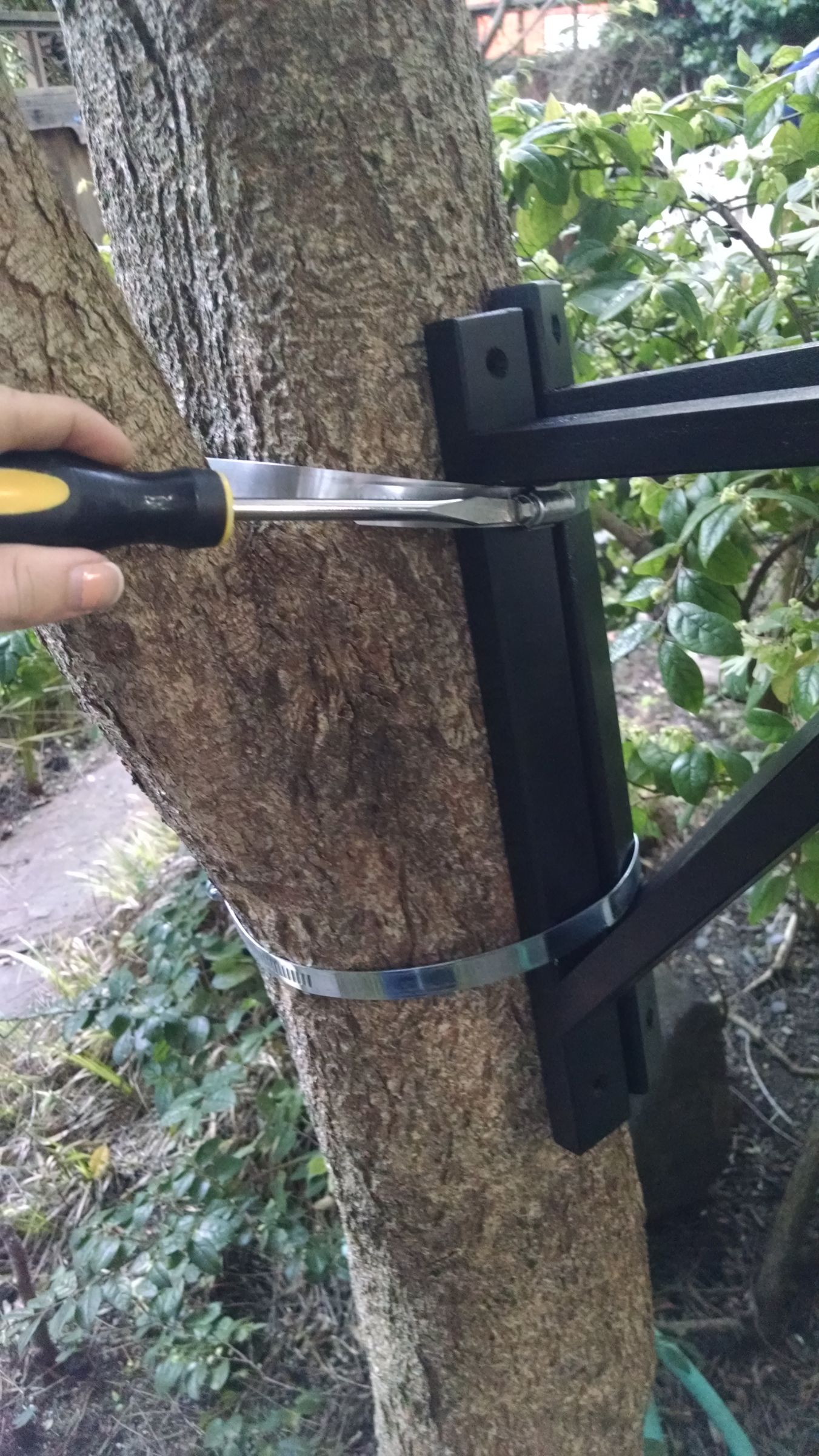 How to Turn a Real Live Tree Into a Cat Tree W/Hose Clamps and Ikea ...