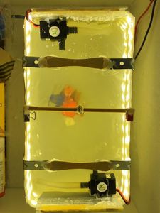 How to Make Large Blocks of Clear Ice for Sculpting and Drink Making ...