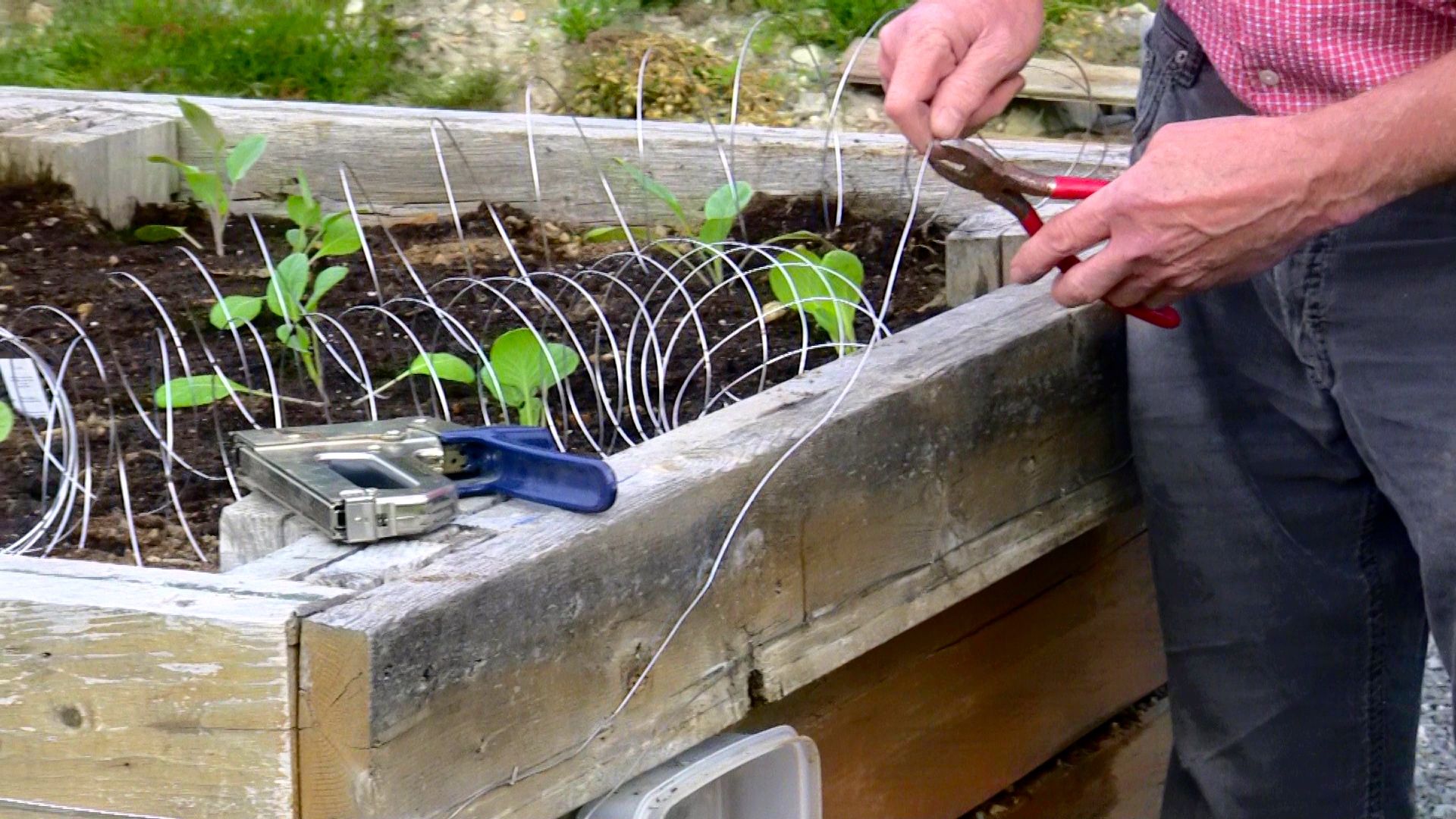 Electric Garden Slug Fence : 4 Steps (with Pictures) - Instructables