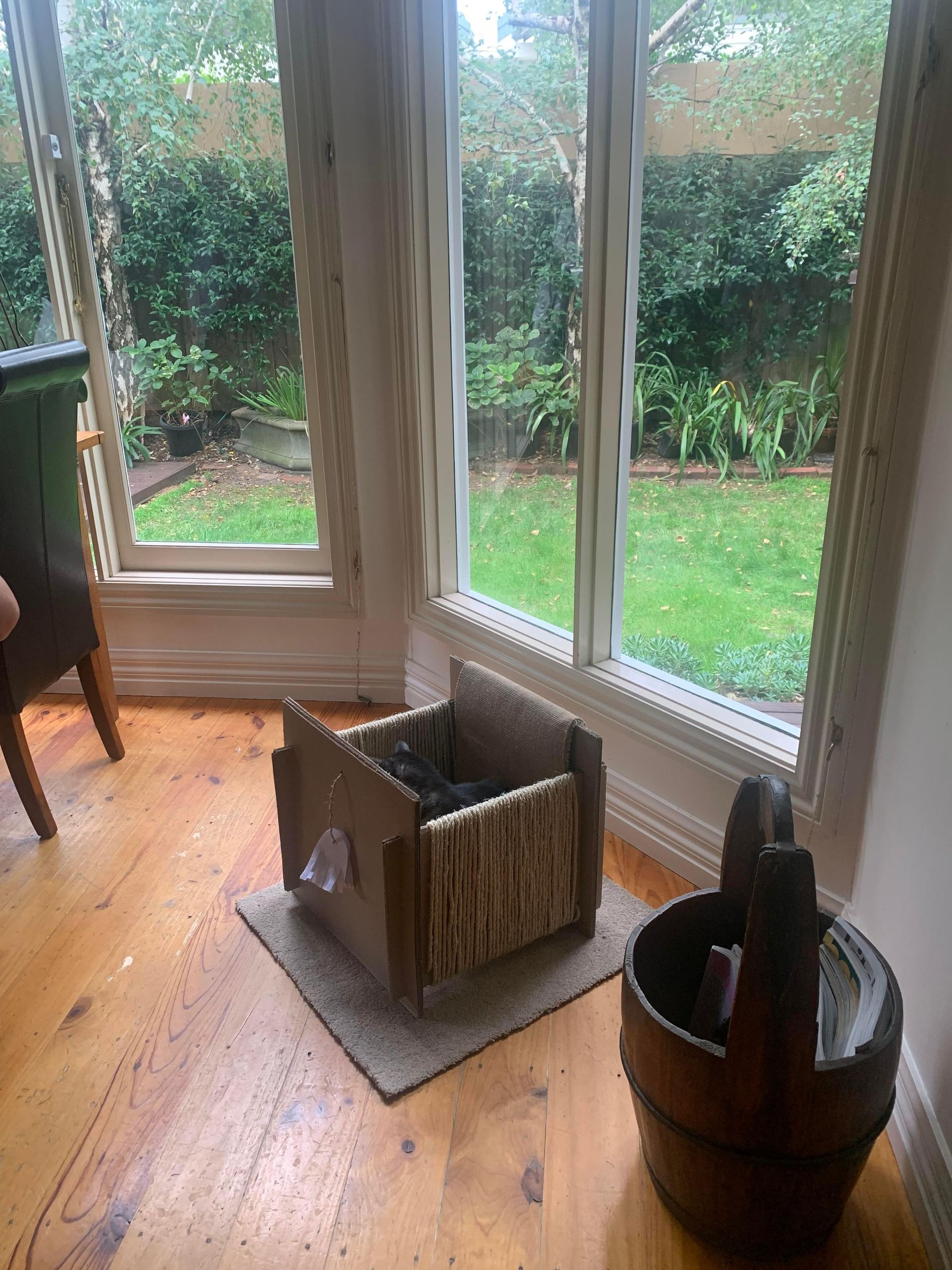 Interactive Box Cat Scratcher : 11 Steps (with Pictures) - Instructables