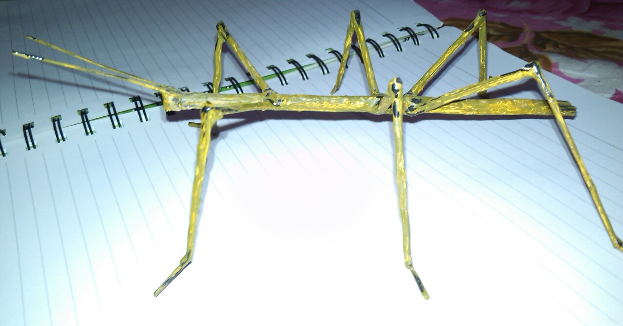 Stick Insect- Make at Home : 4 Steps - Instructables