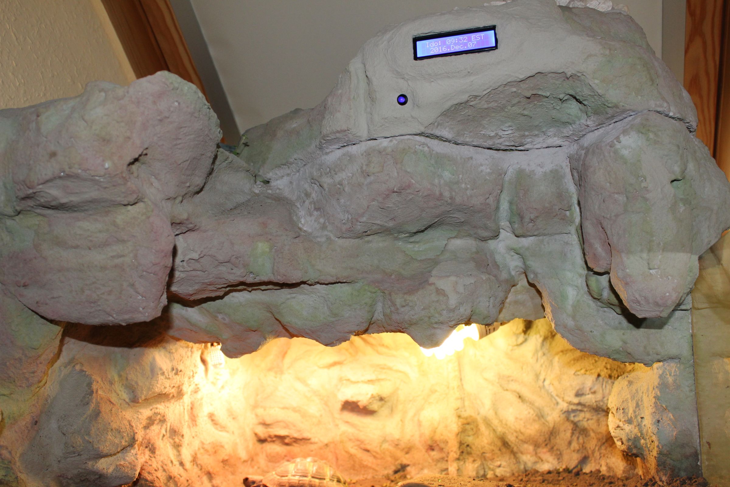 Smart Terrarium : 8 Steps (with Pictures) - Instructables