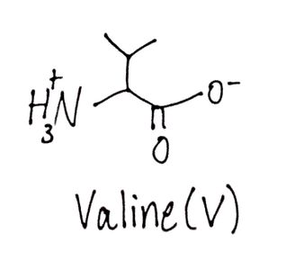 How to Draw Peptide Chains : 18 Steps (with Pictures) - Instructables