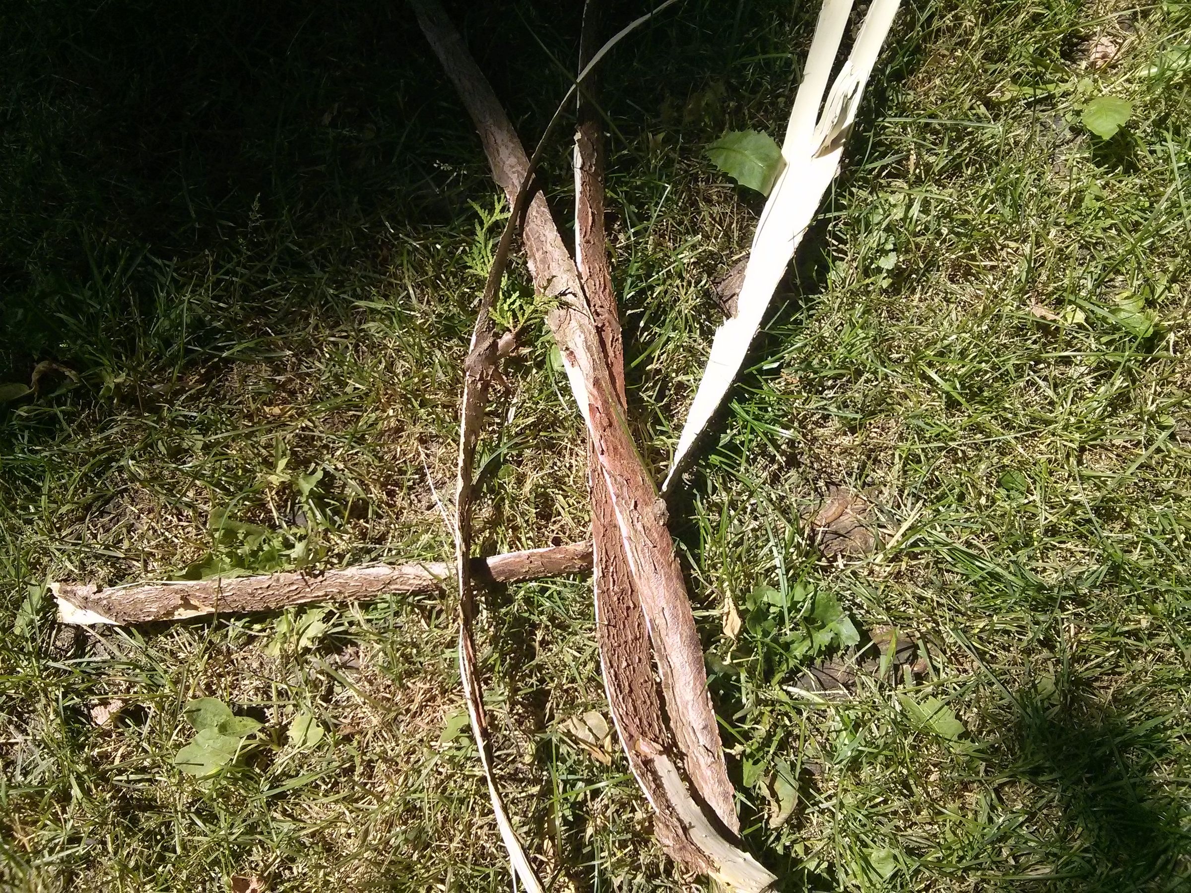 Handcarved Native American Halibut Hook : 9 Steps (with Pictures ...