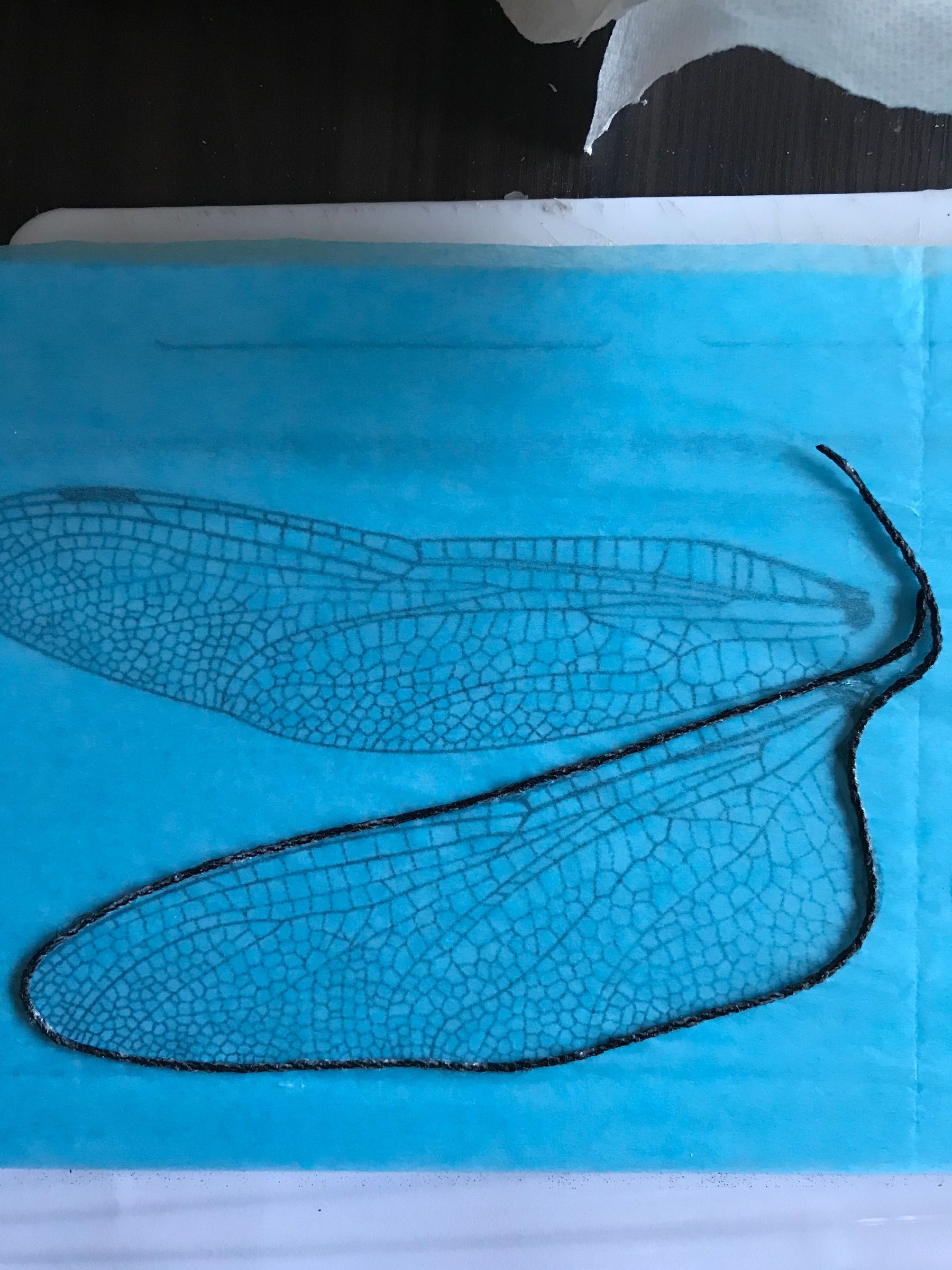 Paper Animatronic Dragonfly : 11 Steps (with Pictures) - Instructables