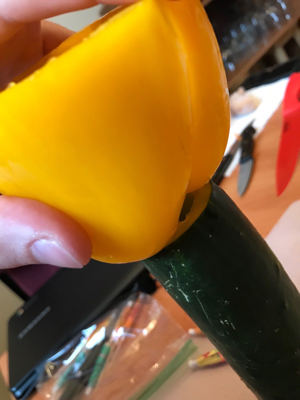 Vegetable Instrument : 14 Steps - Instructables