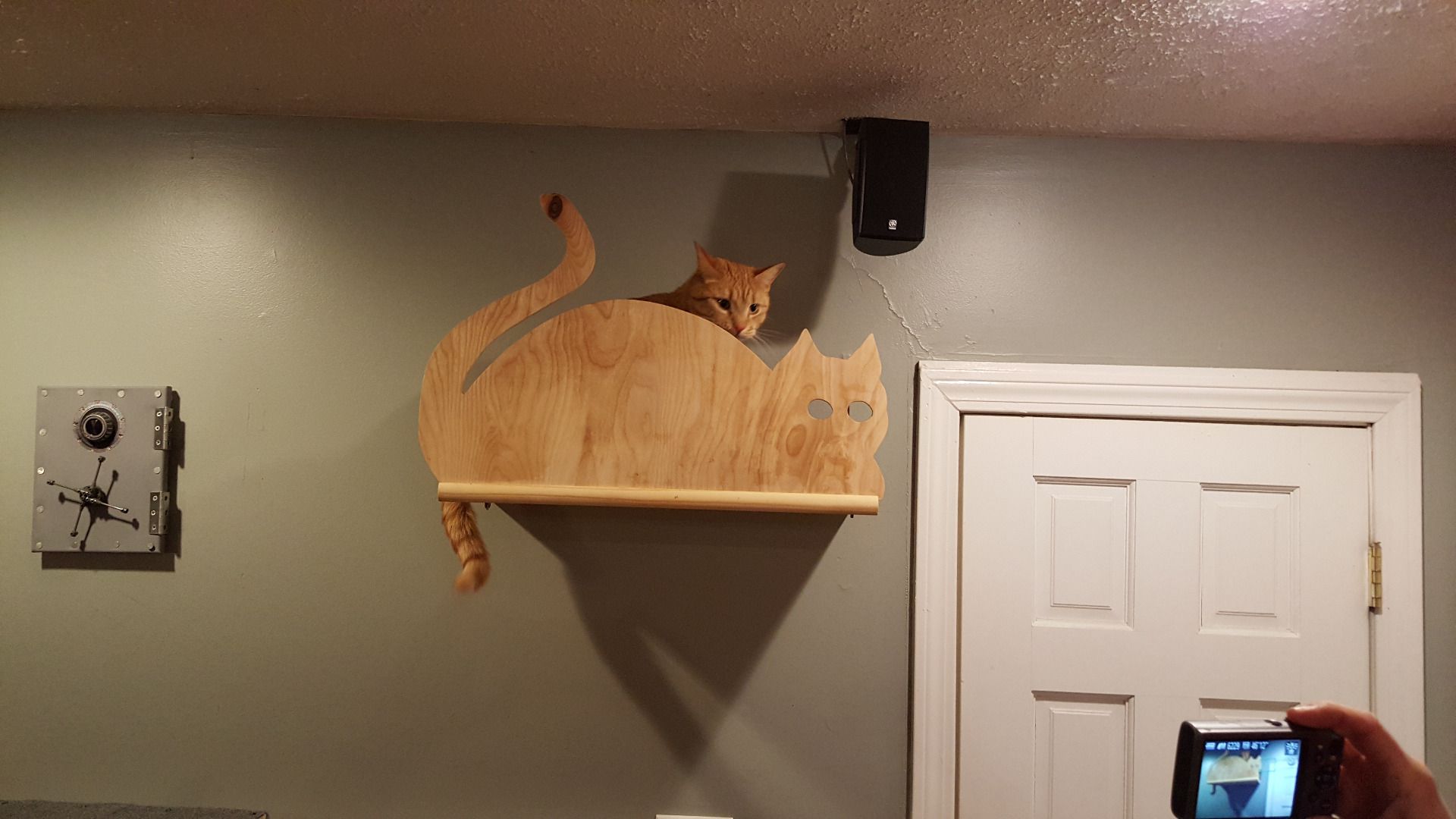 Cat Adventure and Escape Wall : 12 Steps (with Pictures) - Instructables
