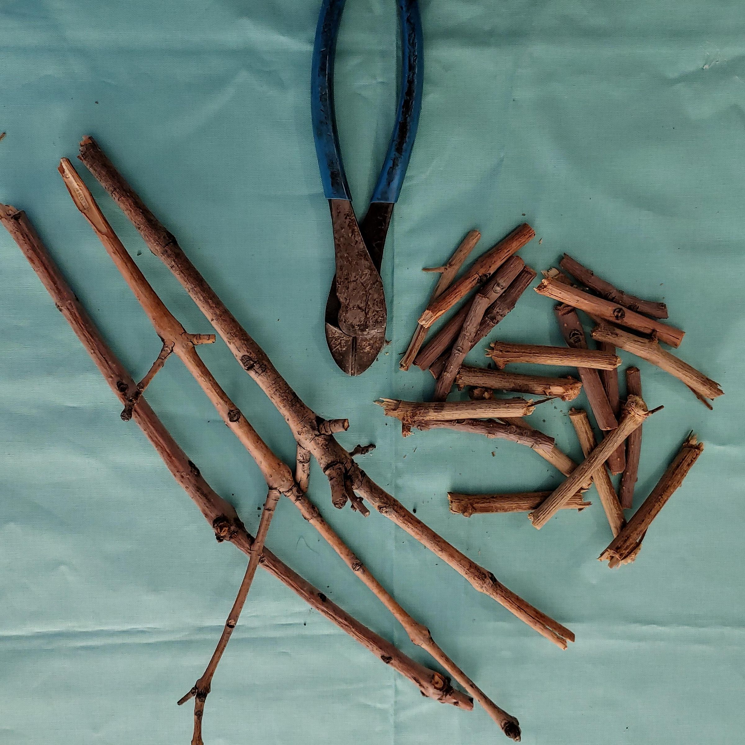 Twig Garland : 5 Steps (with Pictures) - Instructables